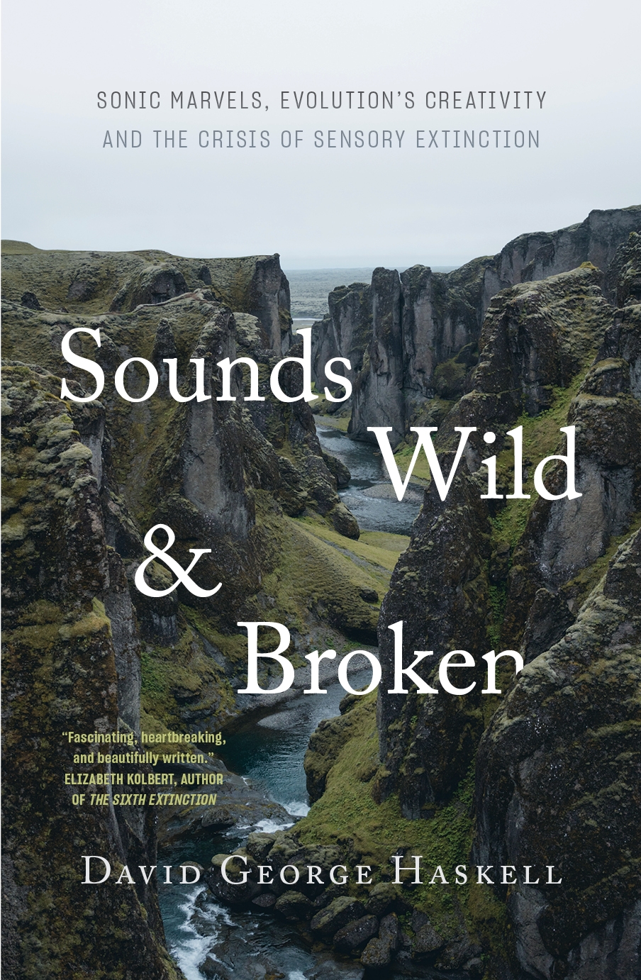 Sounds Wild and Broken: Sonic Marvels, Evolution’s Creativity and the ...